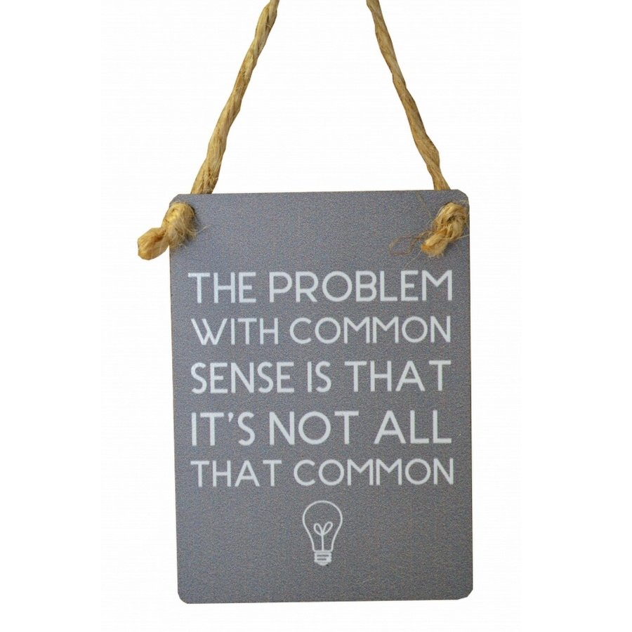 Common Sense Mini Grey Metal Sign, 9cm | 19898 | Signs & Plaques ...