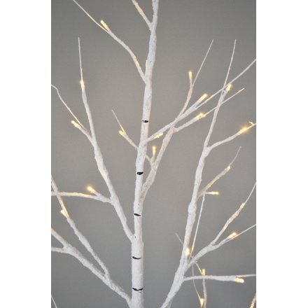 Luxury Light Up Birch Tree Large Indoor/Outdoor 125cm | 22906 ...