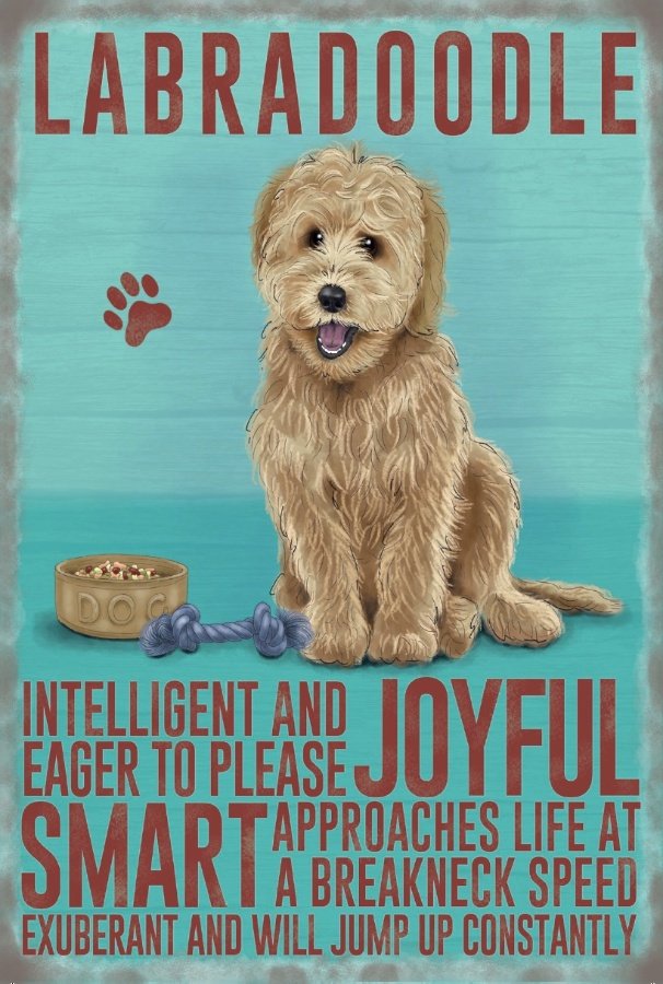 Metal Dog Sign - Labradoodle | 23639 | Signs & Plaques / Animals ...