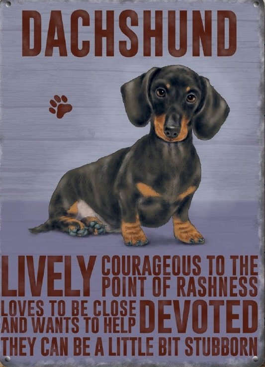 Dachshund Metal Sign | 32700 | Signs & Plaques / Animals, Dogs & Cats ...