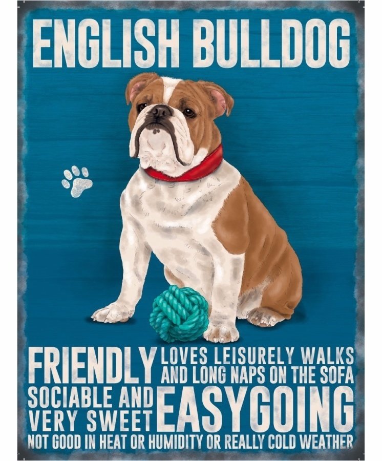 British Bulldog Mini Metal Sign | 35812 | Signs & Plaques / Animals ...