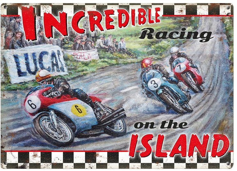 Incredible Racing Mini Metal Sign | 38074 | Signs & Plaques ...