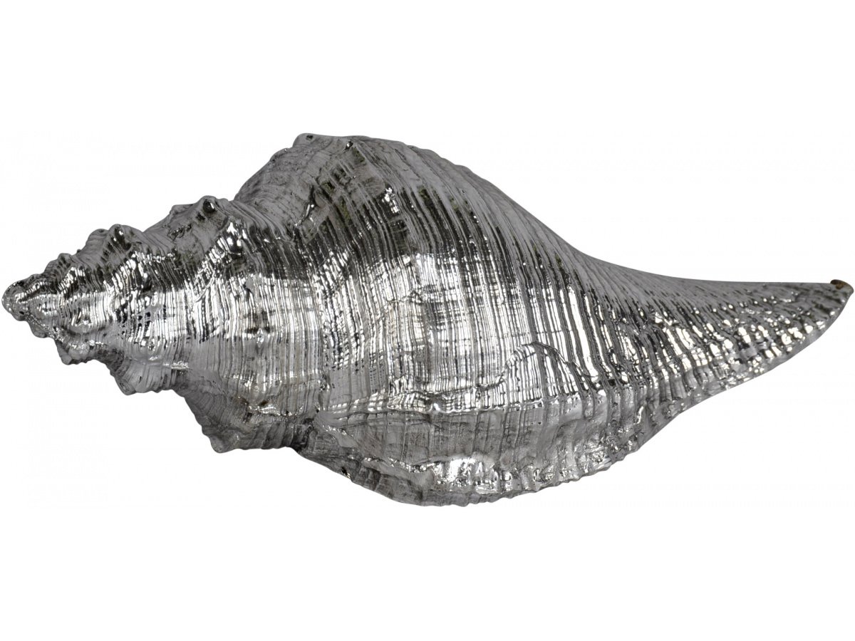 Silver Seashell, 18cm | 42047 | Homeware / Decorative Accessories ...