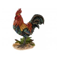 Special Offers - Rosefields