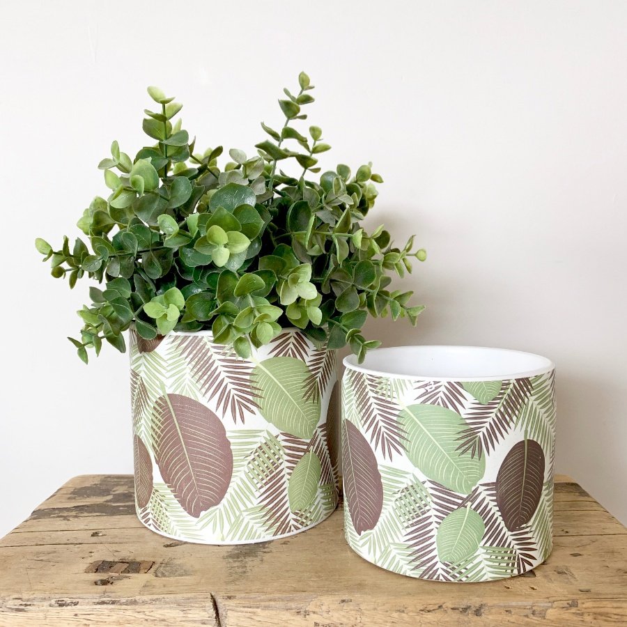 Fern Foliage Pot, 11cm | 46954 | Homeware / Decorative Accessories ...