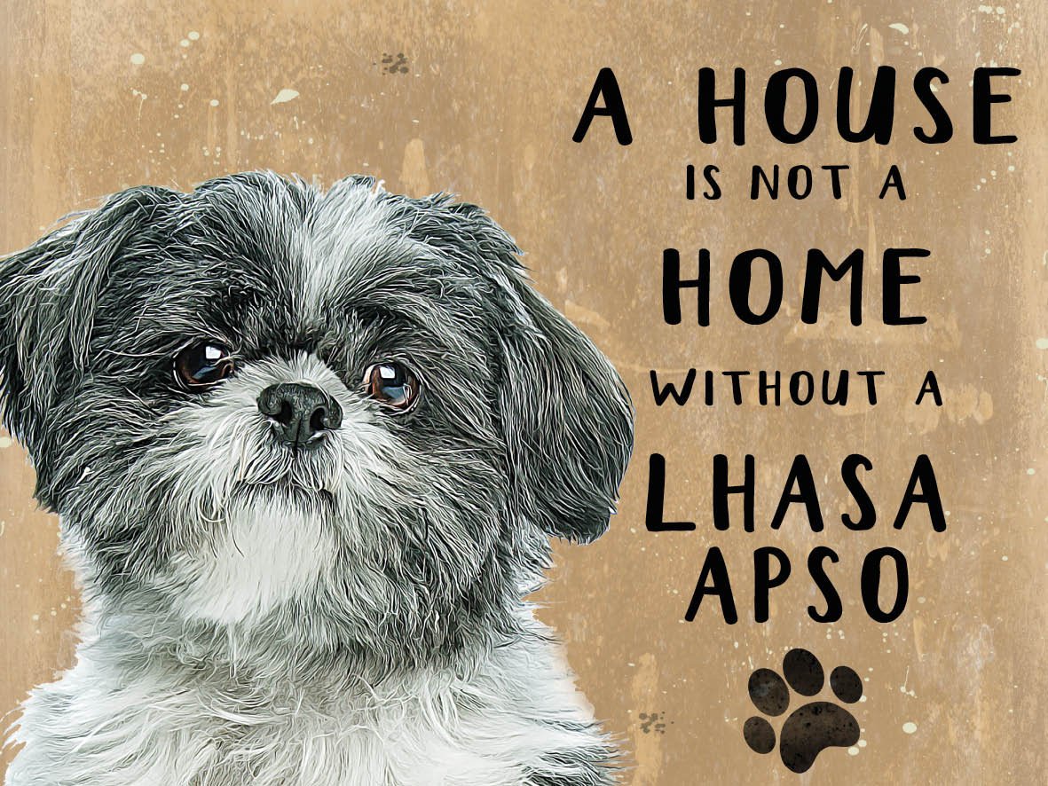 House Not A Home Mini Metal Sign - Lhasa Apso | 48799 | Signs & Plaques ...
