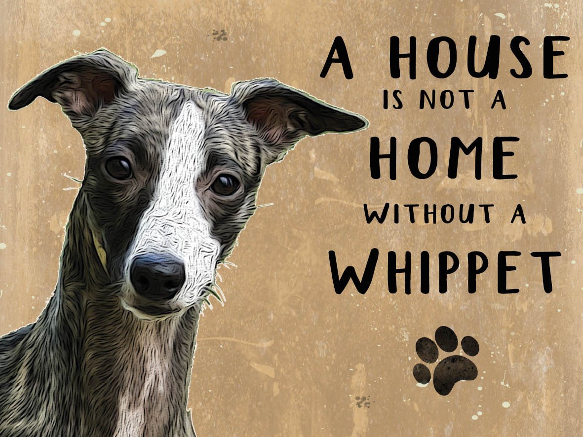 House Not A Home Whippet Metal Sign | 48816 | Signs & Plaques / Animals ...