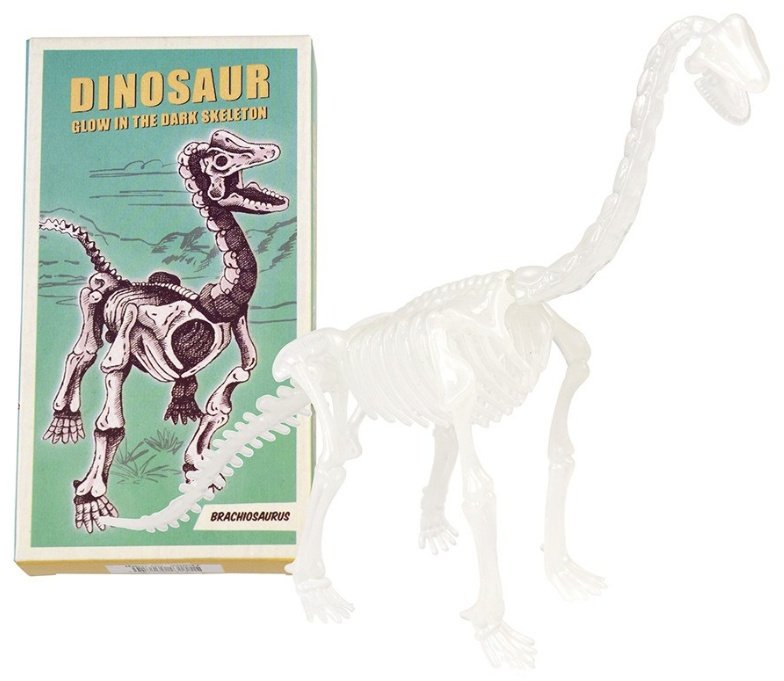 28897 / Assorted Dinosaur Skeleton Kits | 50697 | Kids / Toys and Games ...