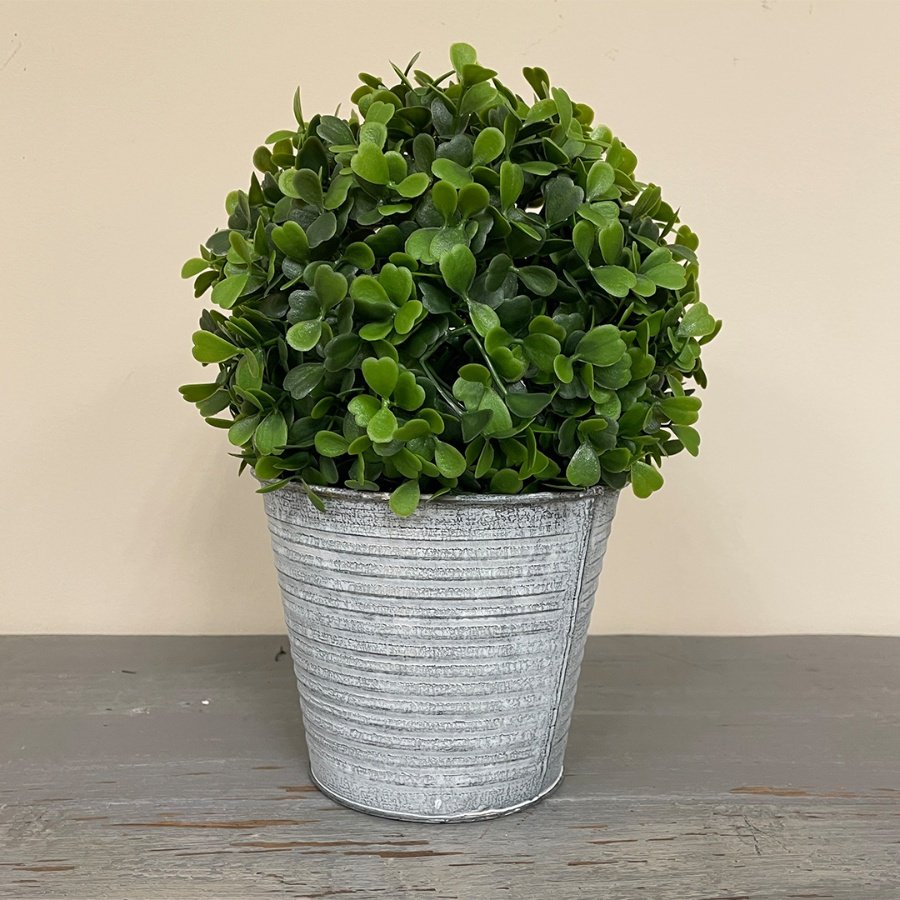 Zinc Ribbed Planter, 14cm | 52140 | Outdoor Living / Planters ...