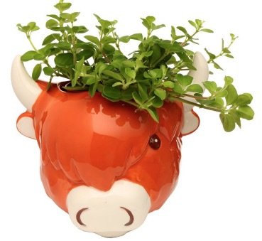 Highland Cow Wall Planter | 53059 | Outdoor Living / Planters ...