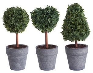 Assortment of 3 Mini Topiary Tree in Pot, 15cm | 56405 | Interior Decor ...