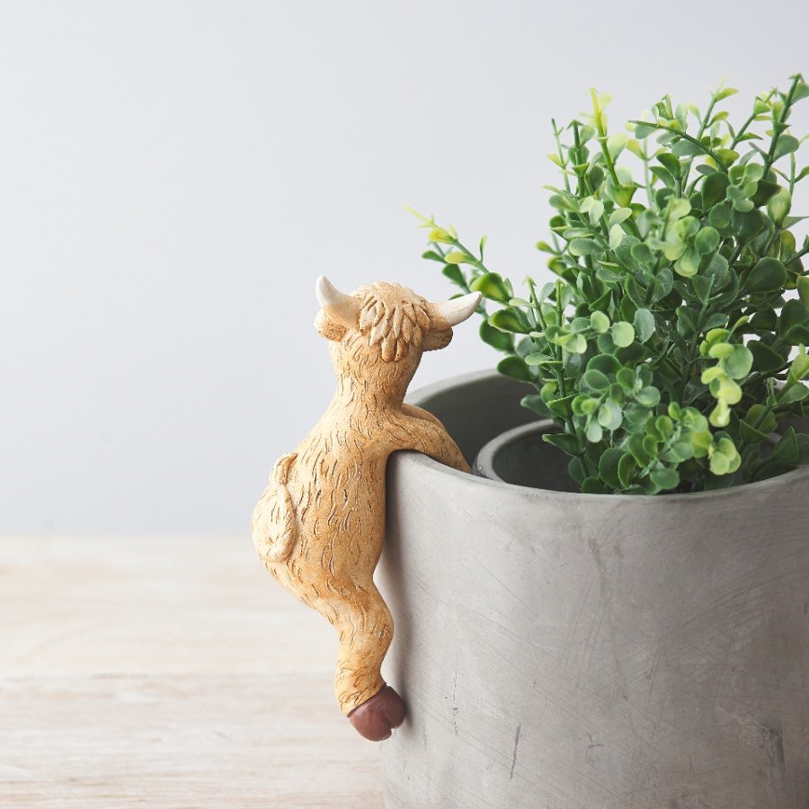 PL023412 - Highland Cow Pot Pal, 12.5cm | | Everyday / Jugs, Vases ...
