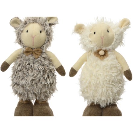 2/a Spring Sheep | 64699 | Ranges / Spring | Rosefields