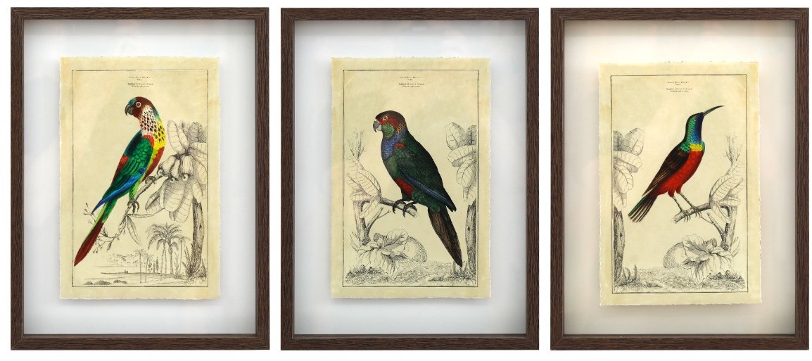 WP2417 / 3A Birds Shadow Box Frame, 40cm | 65082 | Homeware / Photo ...