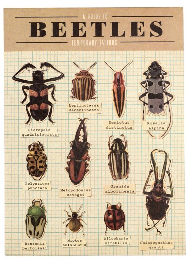 29461 / Temporary tattoos - Beetles | 65232 | Kids / Toys and Games ...
