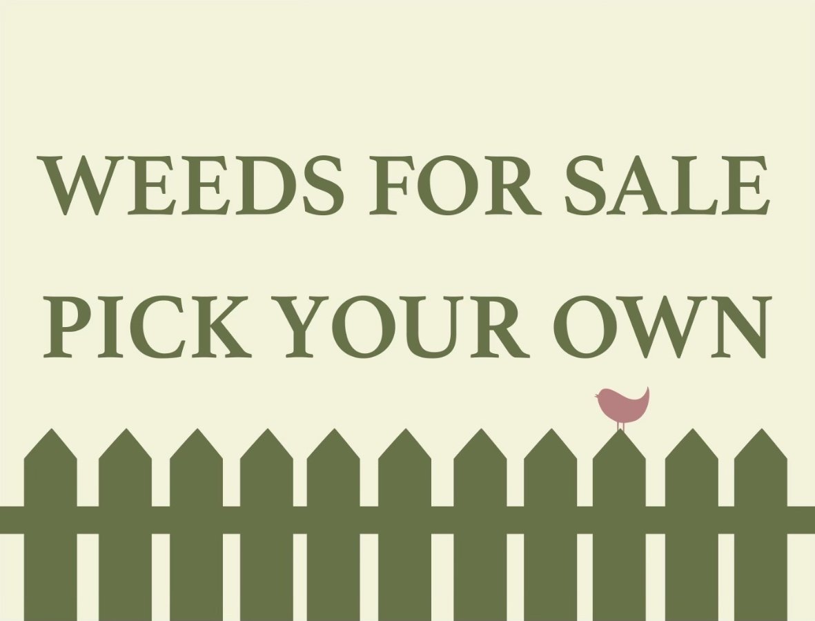 Weeds For Sale Pick Your Own Sign, 20cm | 66536 | Signs & Plaques ...