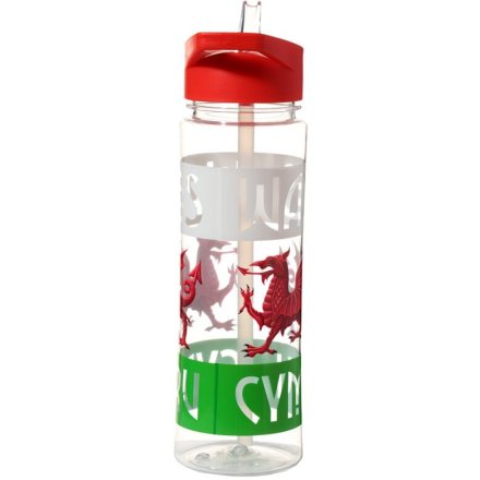 Welsh Dragon Water Bottle Souvenir, 550ml | 75143 | Kitchen & Dining ...